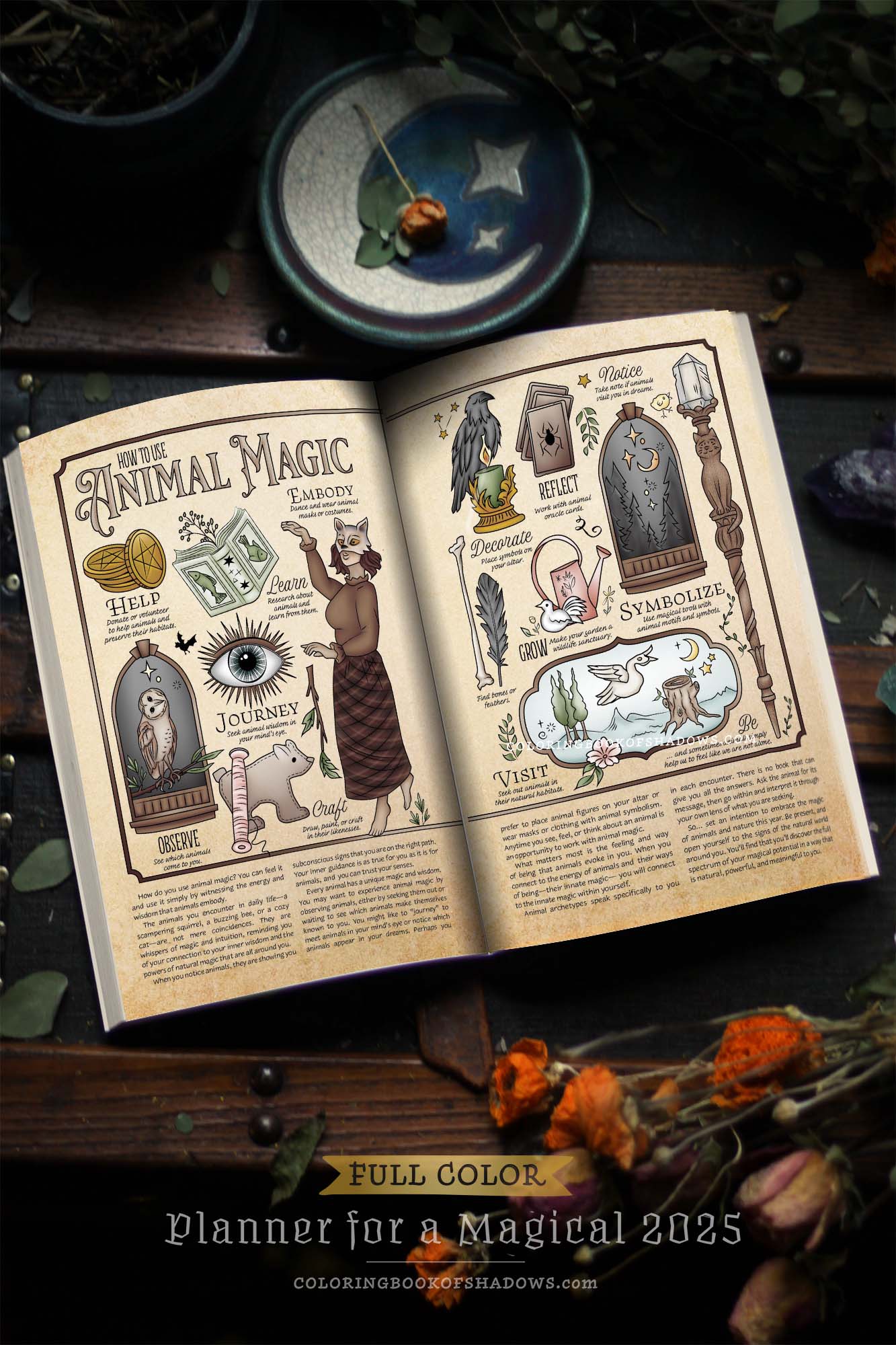 Full-Color Books - Coloring Book of Shadows