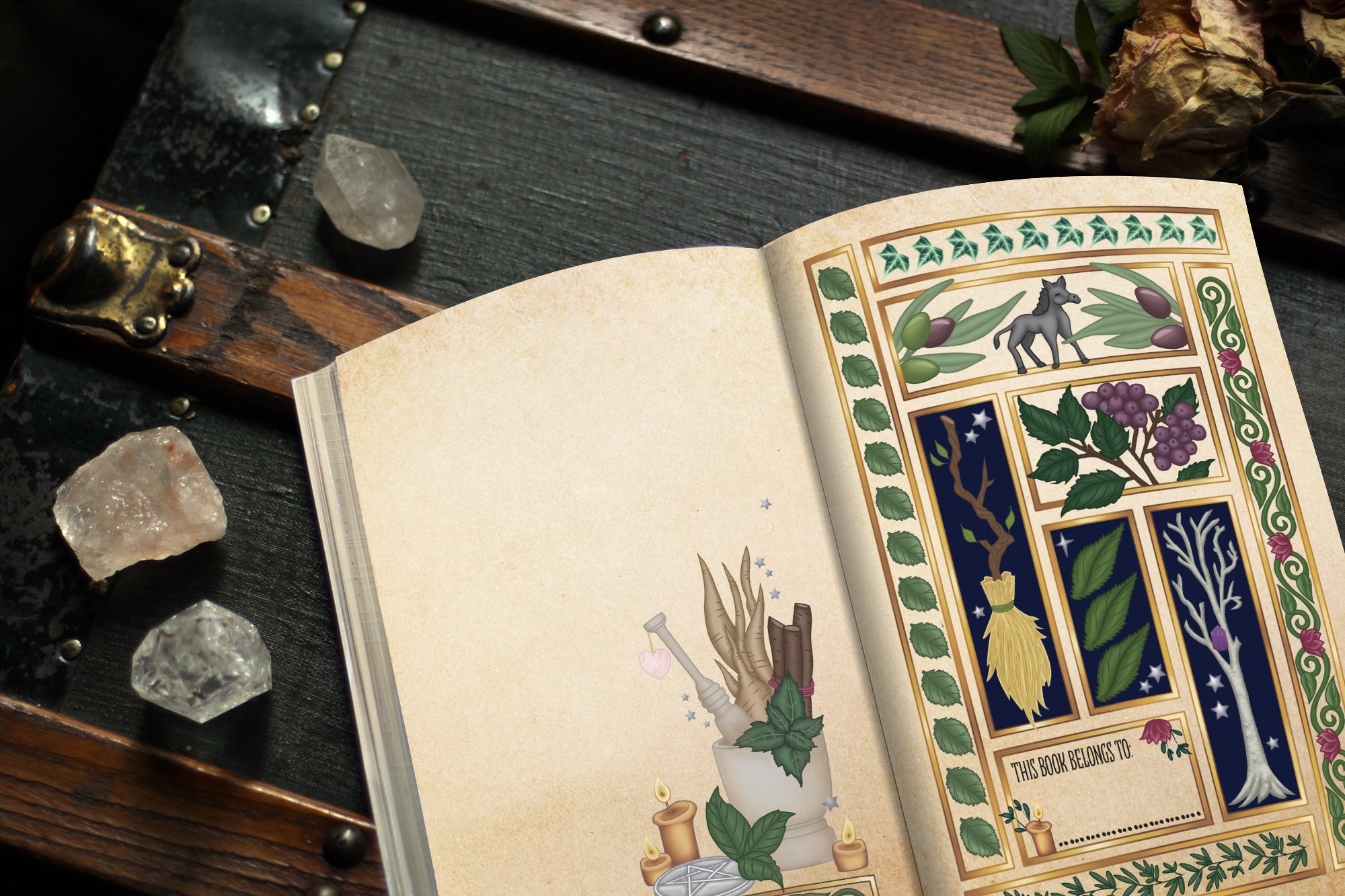 FULL COLOR Witch's Herbal Primer - Coloring Book of Shadows