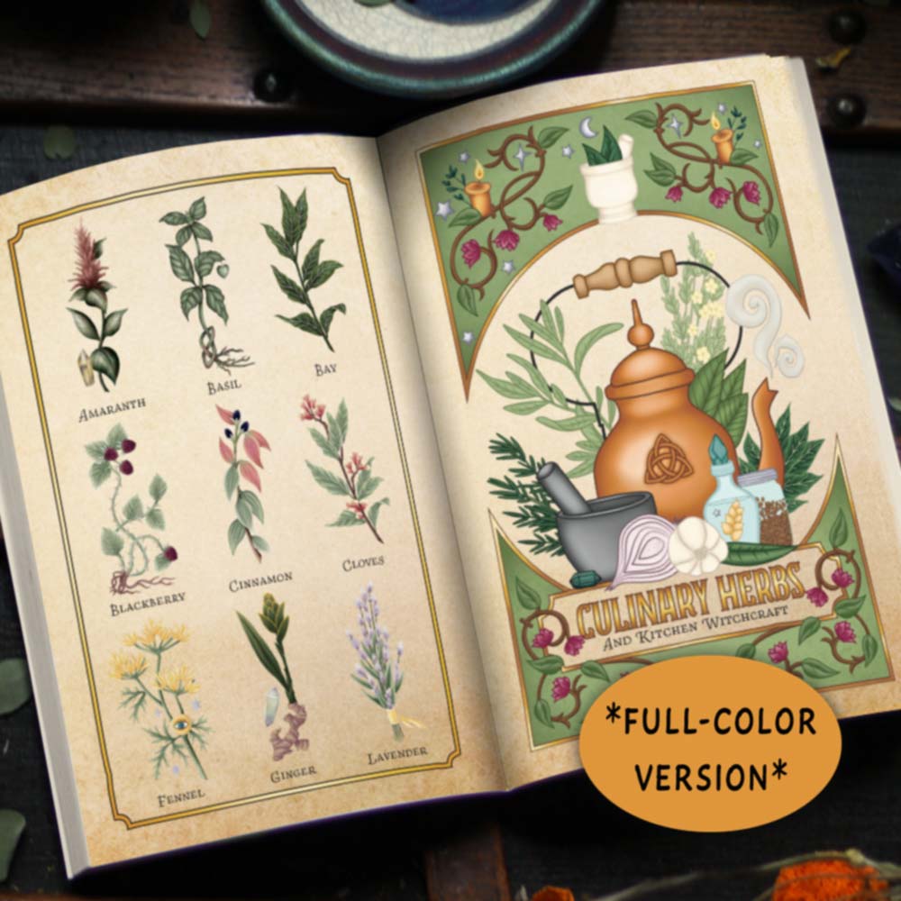FULL COLOR Witch's Herbal Primer - Coloring Book of Shadows