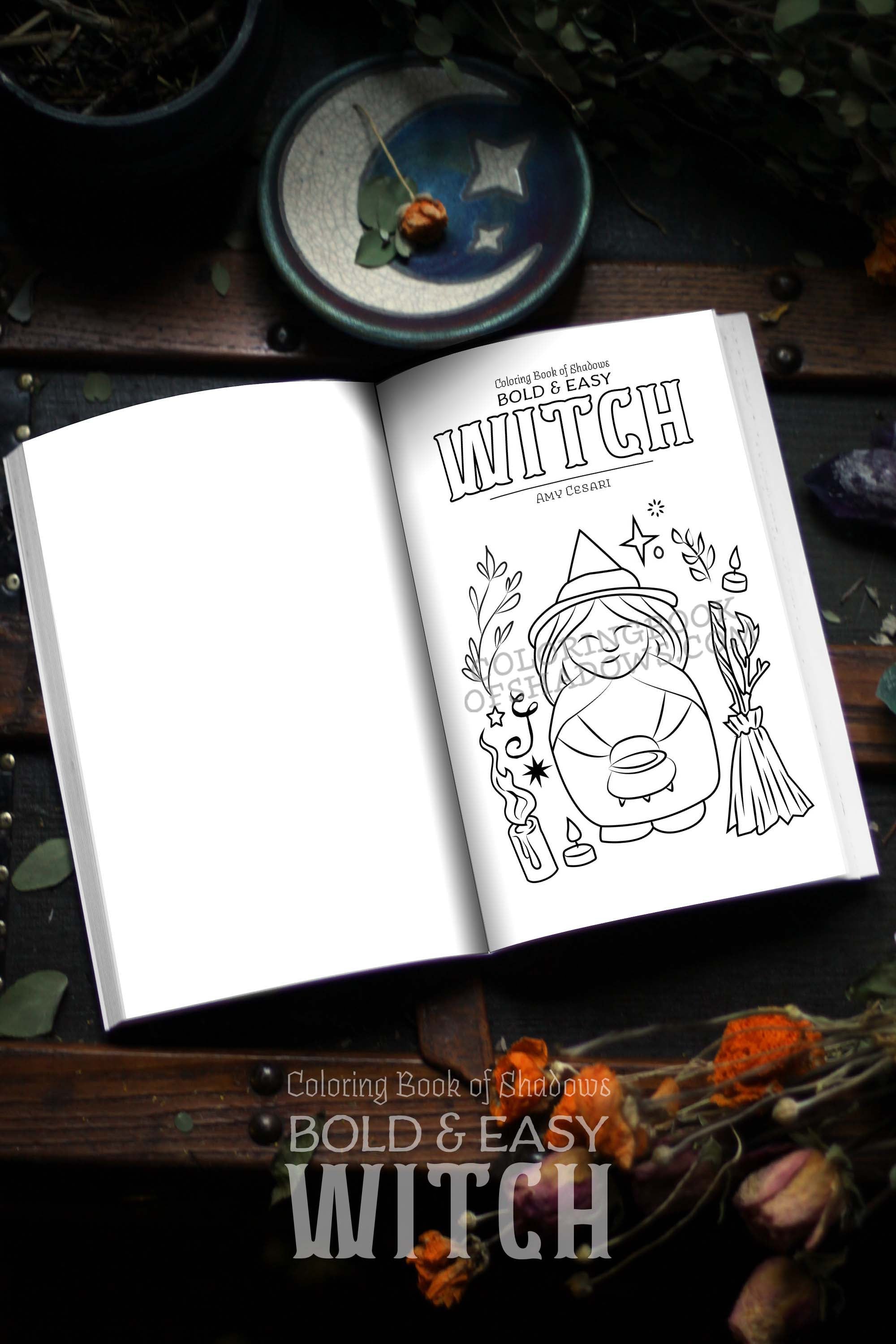 Coloring Book of Shadows: Bold and Easy WITCH