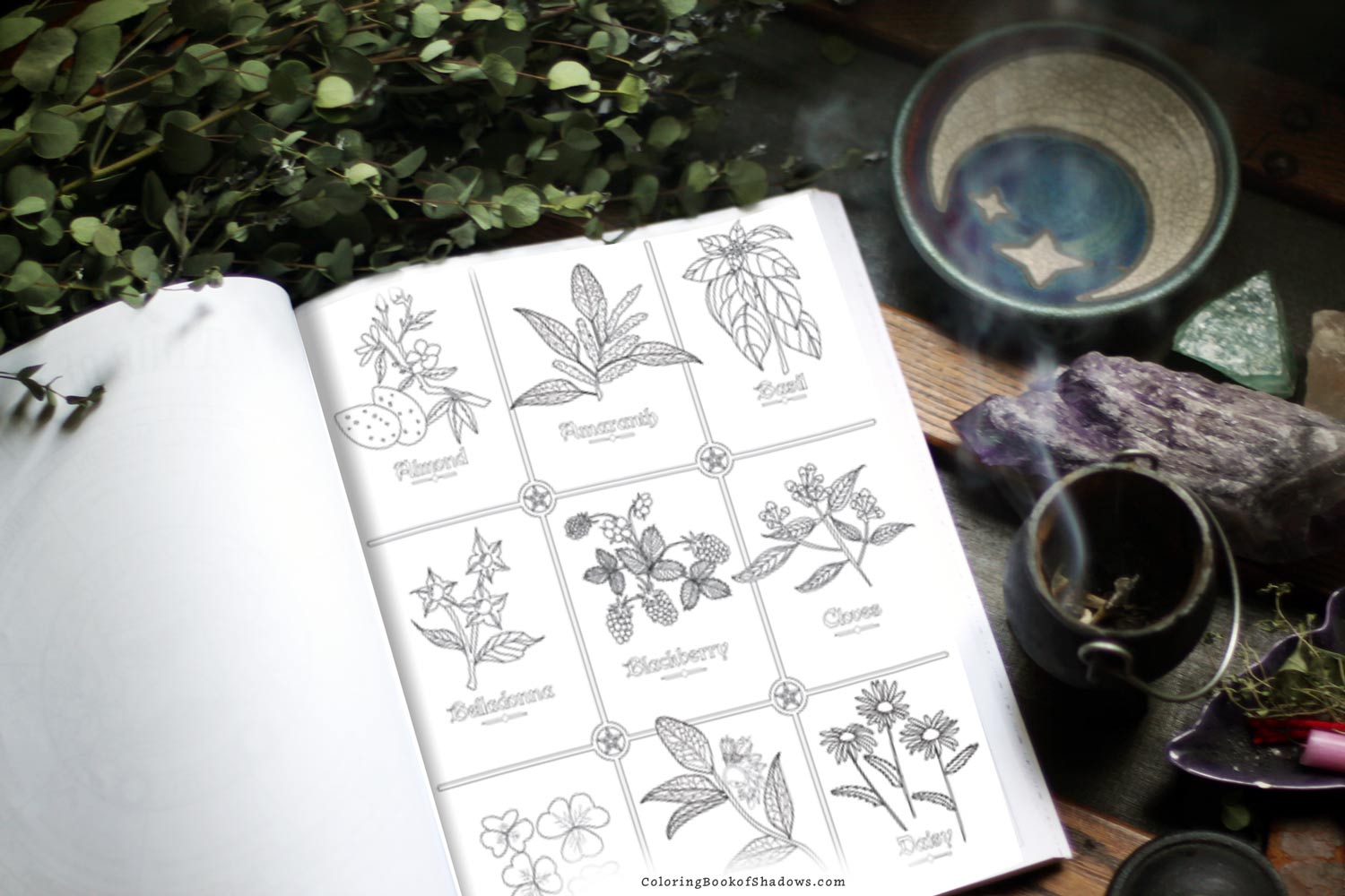 herbs coloring pages