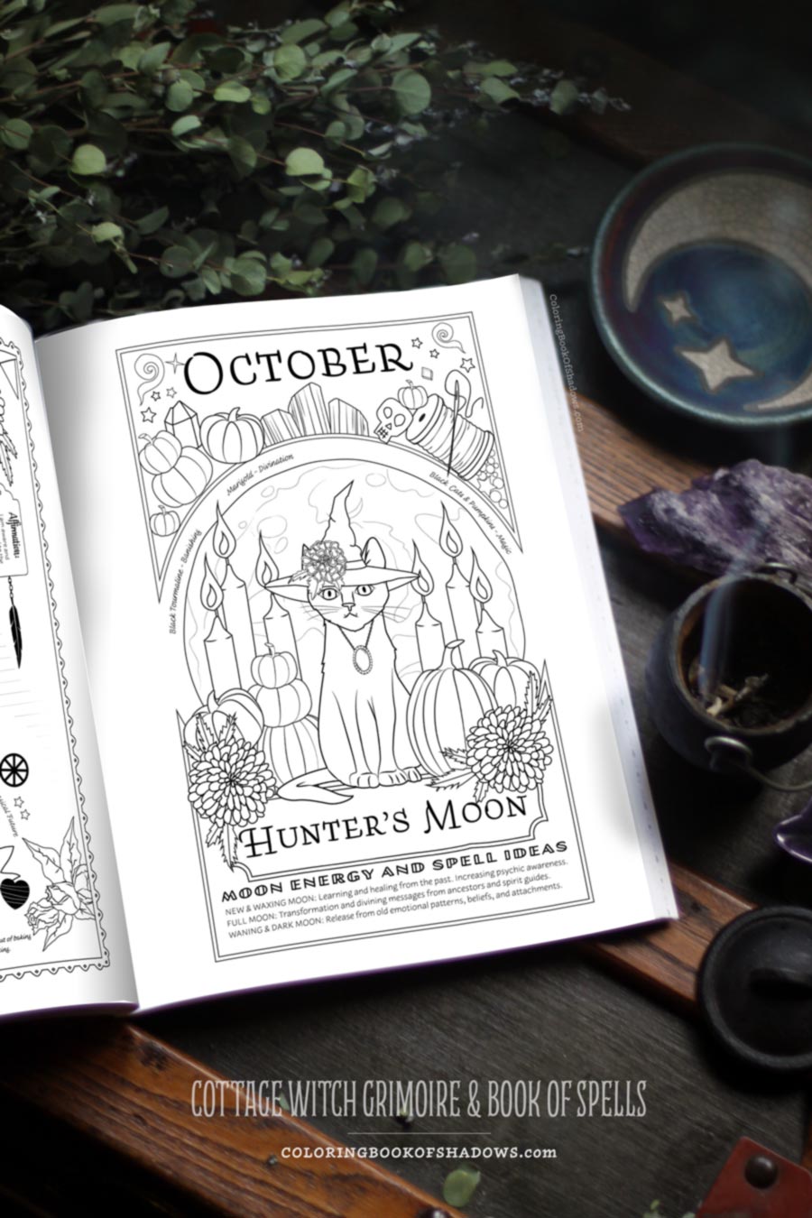 coloring book witchy
